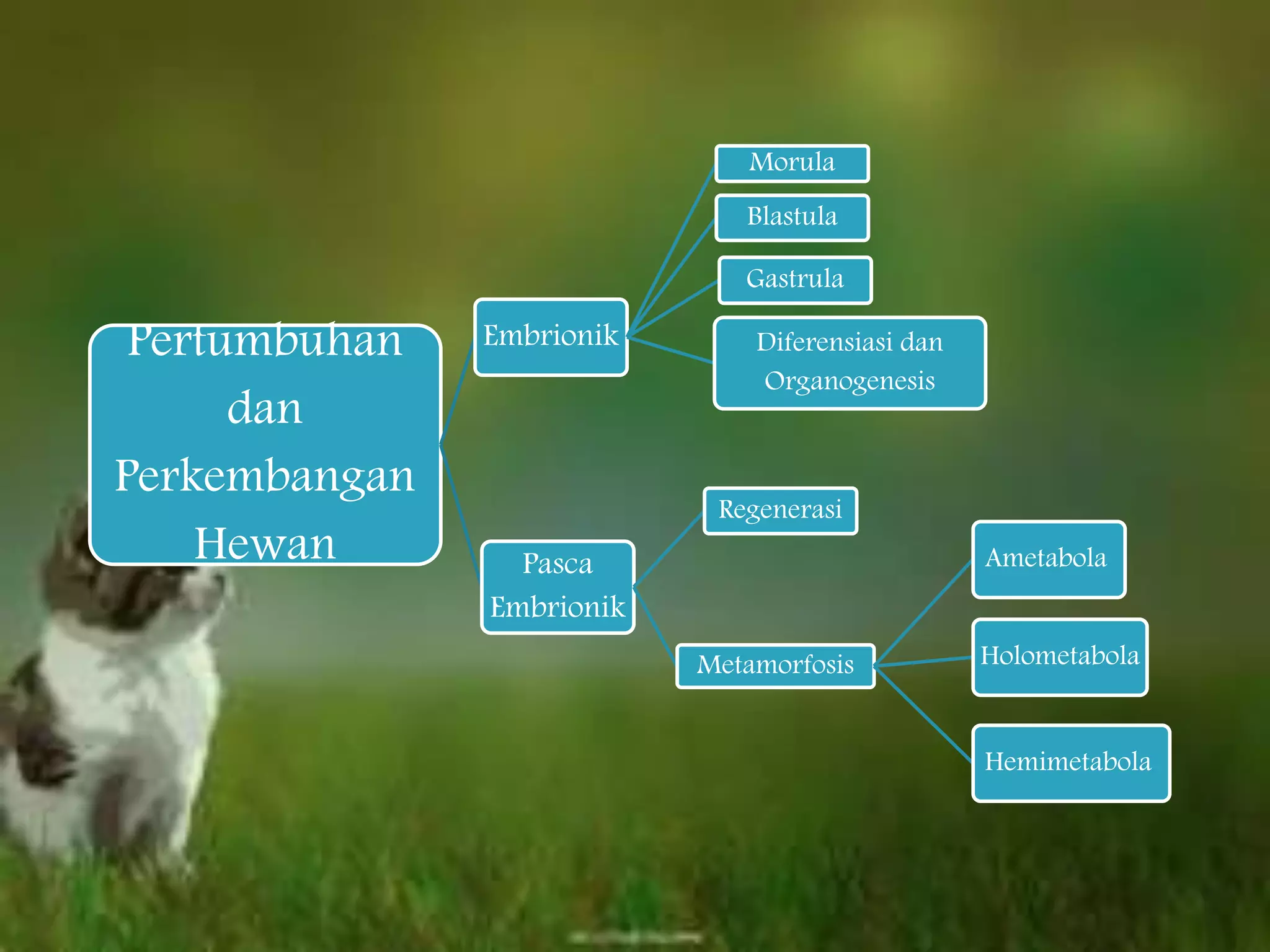 PERTUMBUHAN DAN PERKEMBANGAN | PPTX
