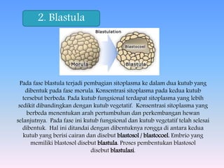 PERTUMBUHAN DAN PERKEMBANGAN | PPTX