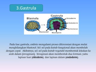 PERTUMBUHAN DAN PERKEMBANGAN | PPTX