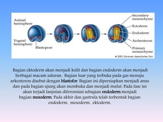 PERTUMBUHAN DAN PERKEMBANGAN | PPTX