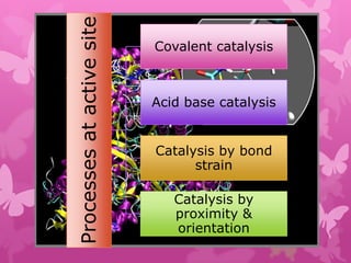 Mechanism of action of enzymes- By Hurnaum Karishma (Student SSR ...