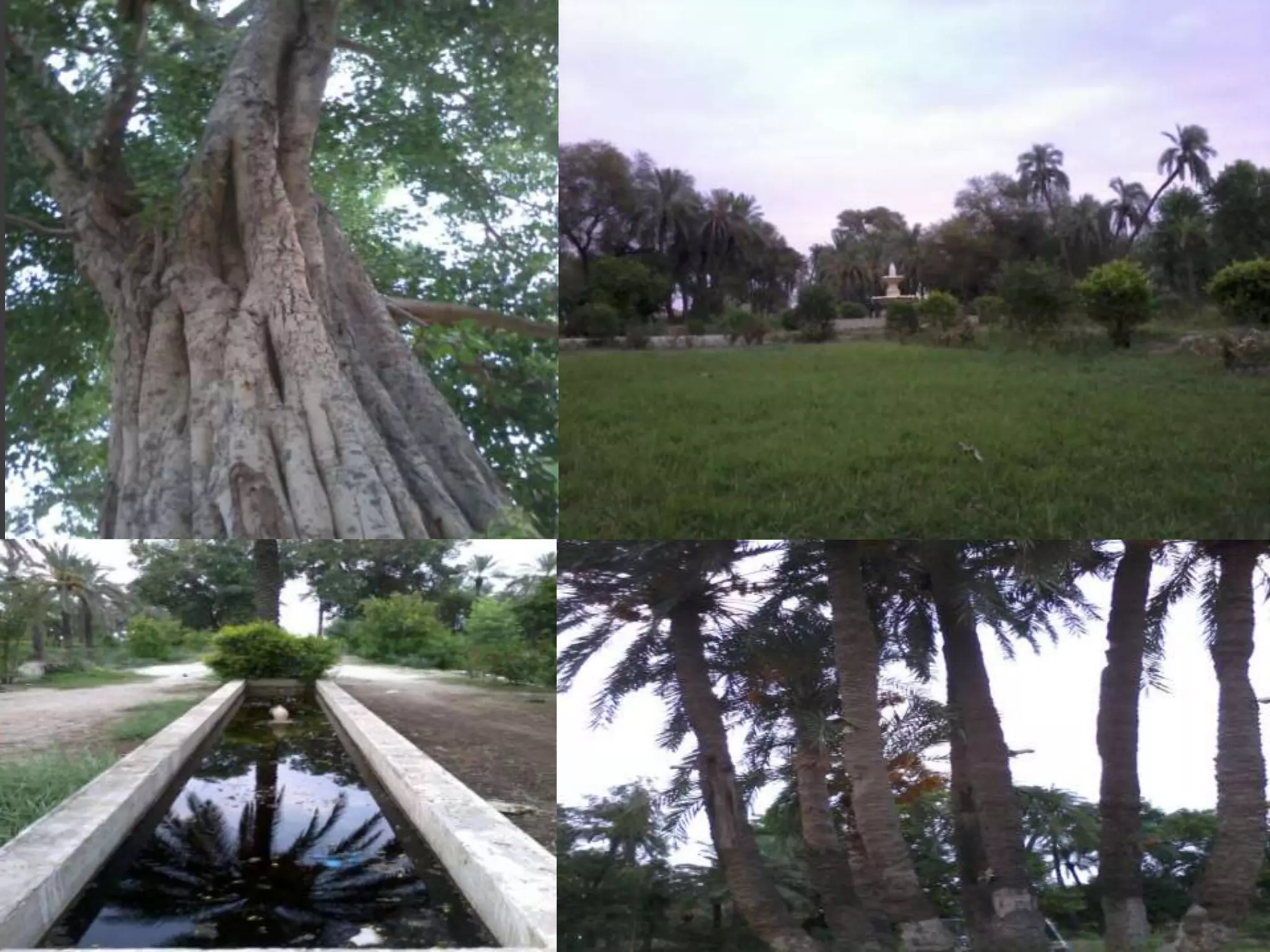 History of Bhakkar | PPT