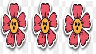 Presentation1 BUNGA.pptx