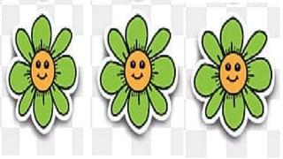 Presentation1 BUNGA.pptx