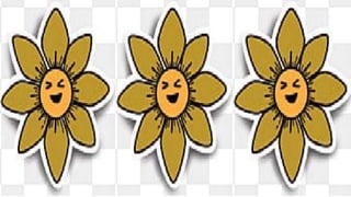 Presentation1 BUNGA.pptx