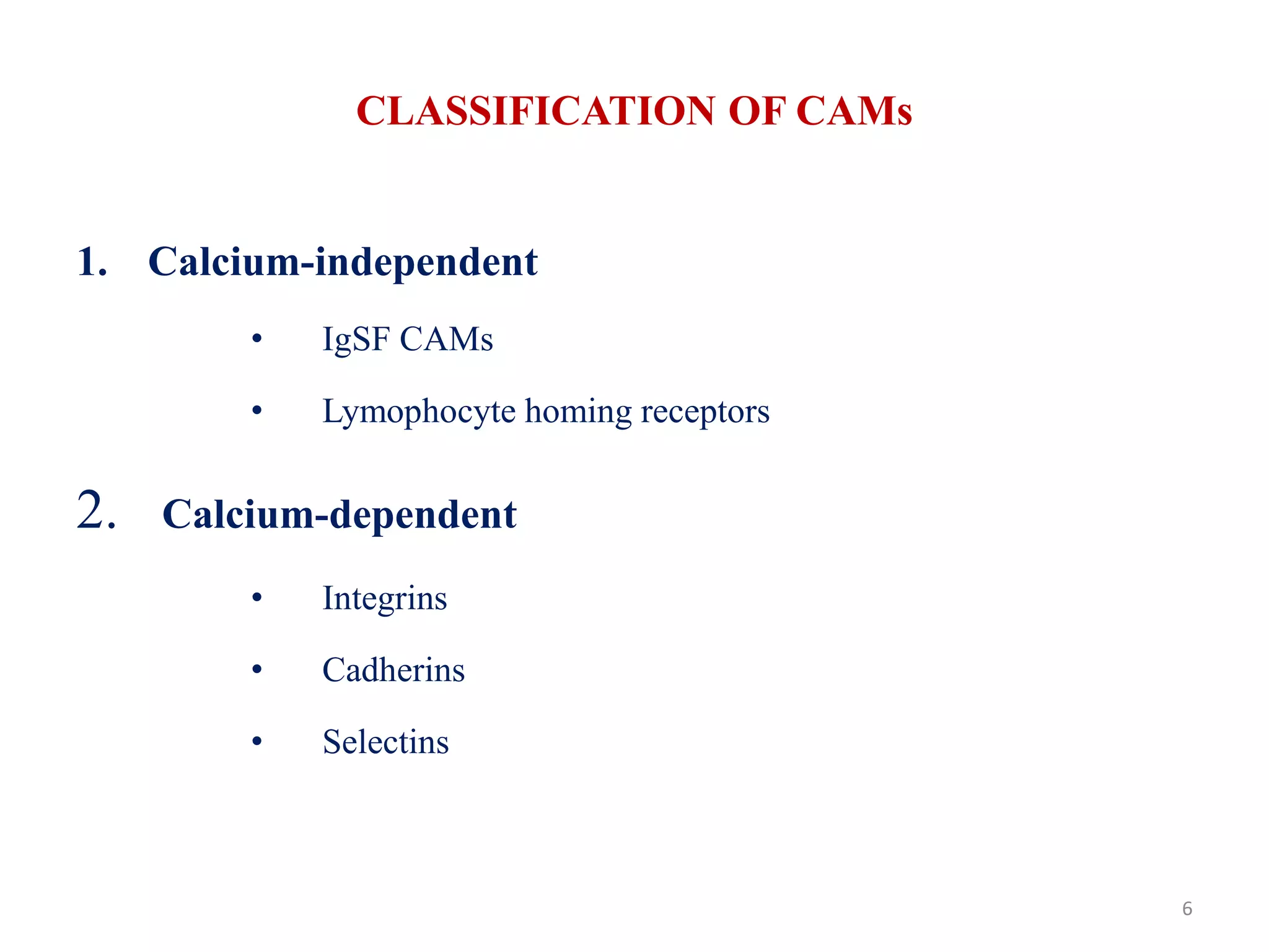 CELL ADHESION MOLECULES AND MATRIX PROTEINS | PPTX