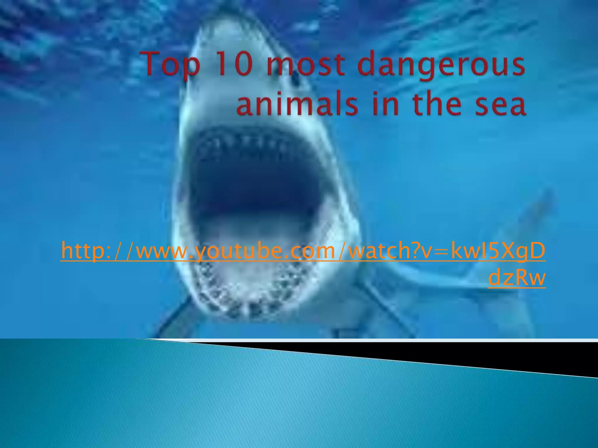 Presentation1 chintu | PPTX