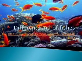 Presentation1 chintu | PPTX