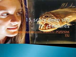 Presentation1 chintu | PPTX