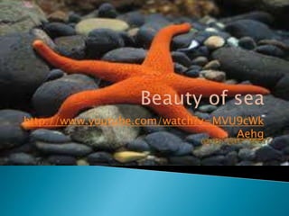 Presentation1 chintu | PPTX