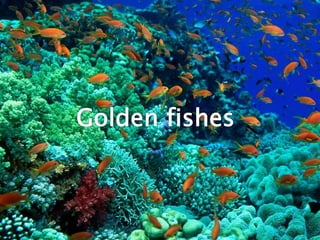 Presentation1 chintu | PPTX