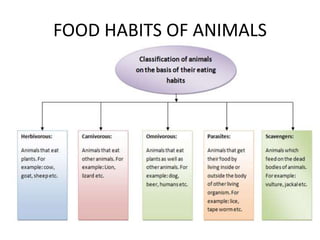 class 6 lesson 1 sources of food | PPTX