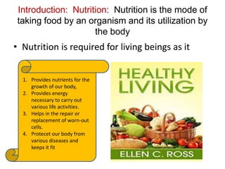 class 6 lesson 1 sources of food | PPTX