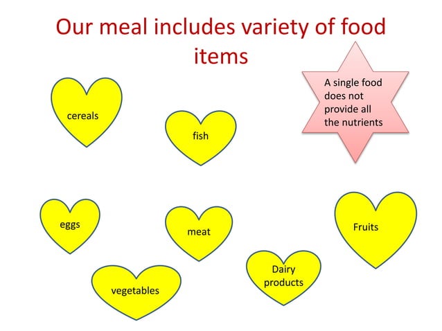 class 6 lesson 1 sources of food | PPT | Free Download