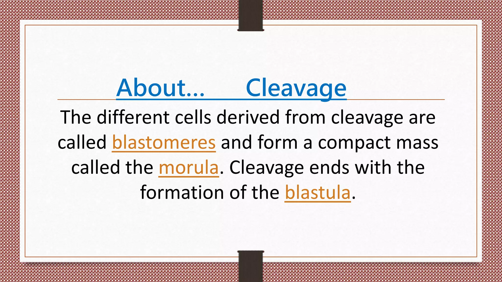 Presentation1 cleavage DB.pptx