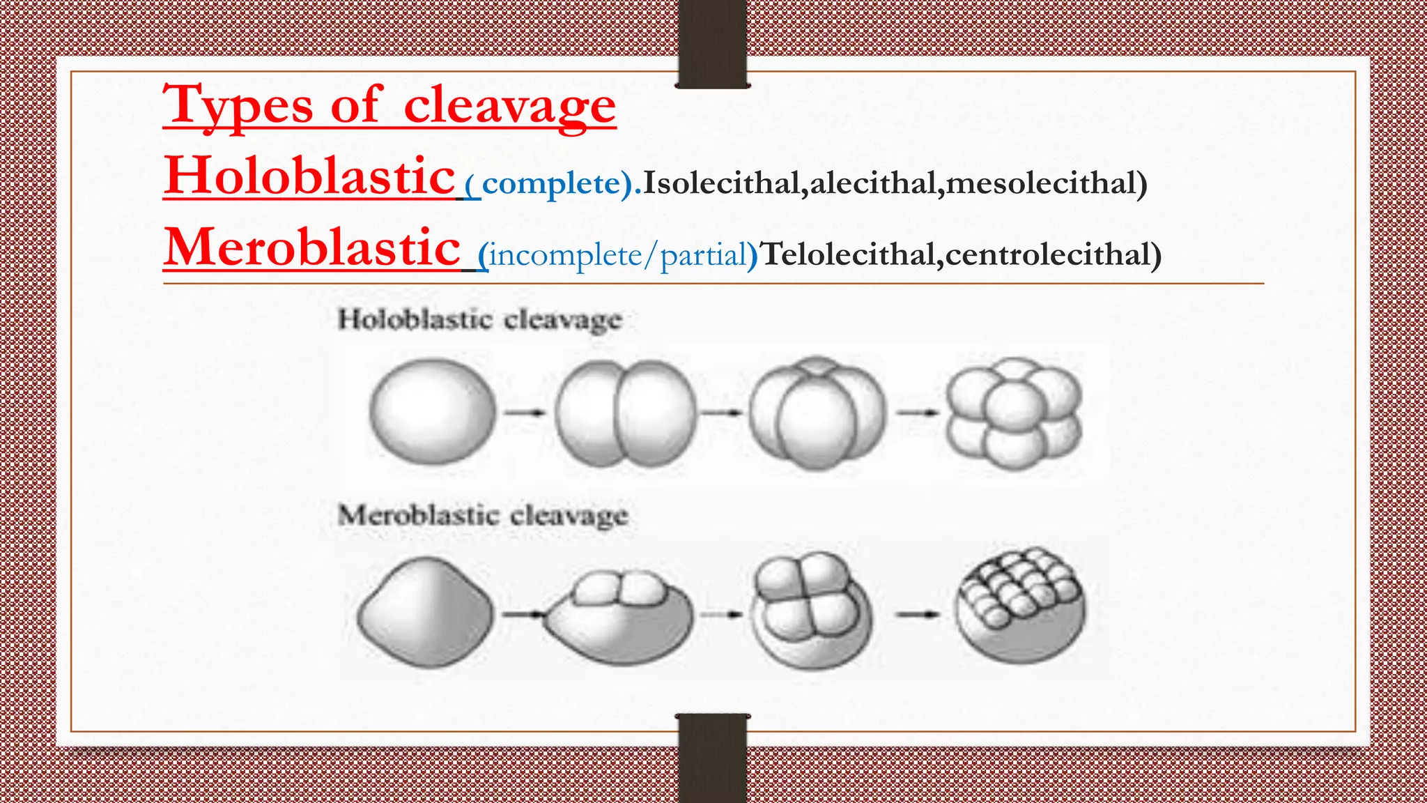 Presentation1 cleavage DB.pptx