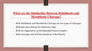 Presentation1 cleavage DB.pptx