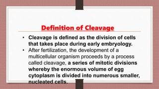 Presentation1 cleavage DB.pptx