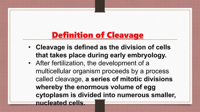 Presentation1 cleavage DB.pptx