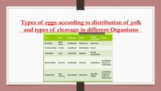 Presentation1 cleavage DB.pptx