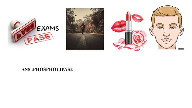 technical connection game related to bioscience | PPTX