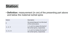 Normal Labor and delivery , brief lecture | PPTX