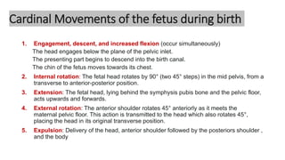 Normal Labor and delivery , brief lecture | PPTX