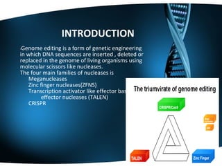 CRISPR | PPT