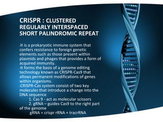CRISPR | PDF