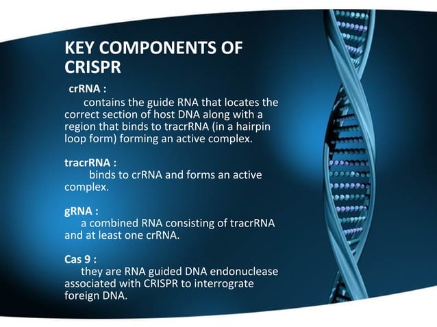 CRISPR | PPT