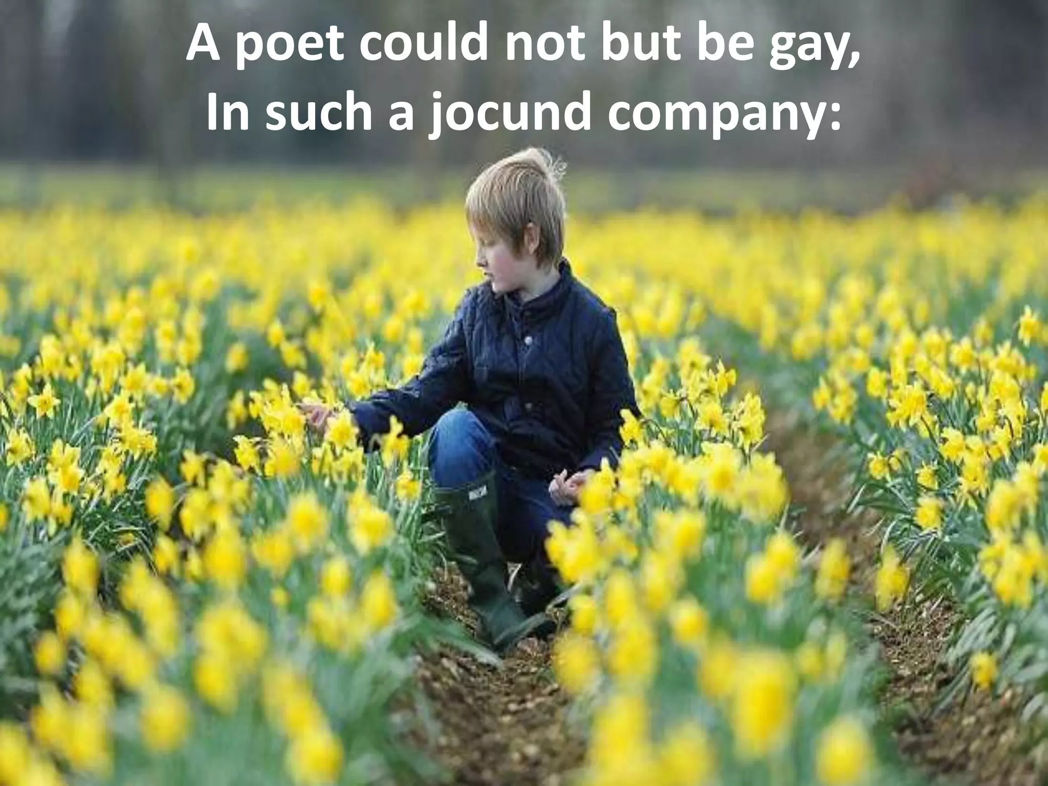 Daffodils by william wordsworth | PPTX