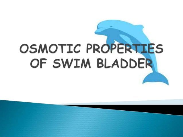 Presentation of Data Logger | PPT