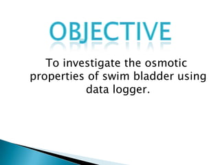 Presentation of Data Logger | PPTX