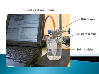 Presentation of Data Logger | PPTX