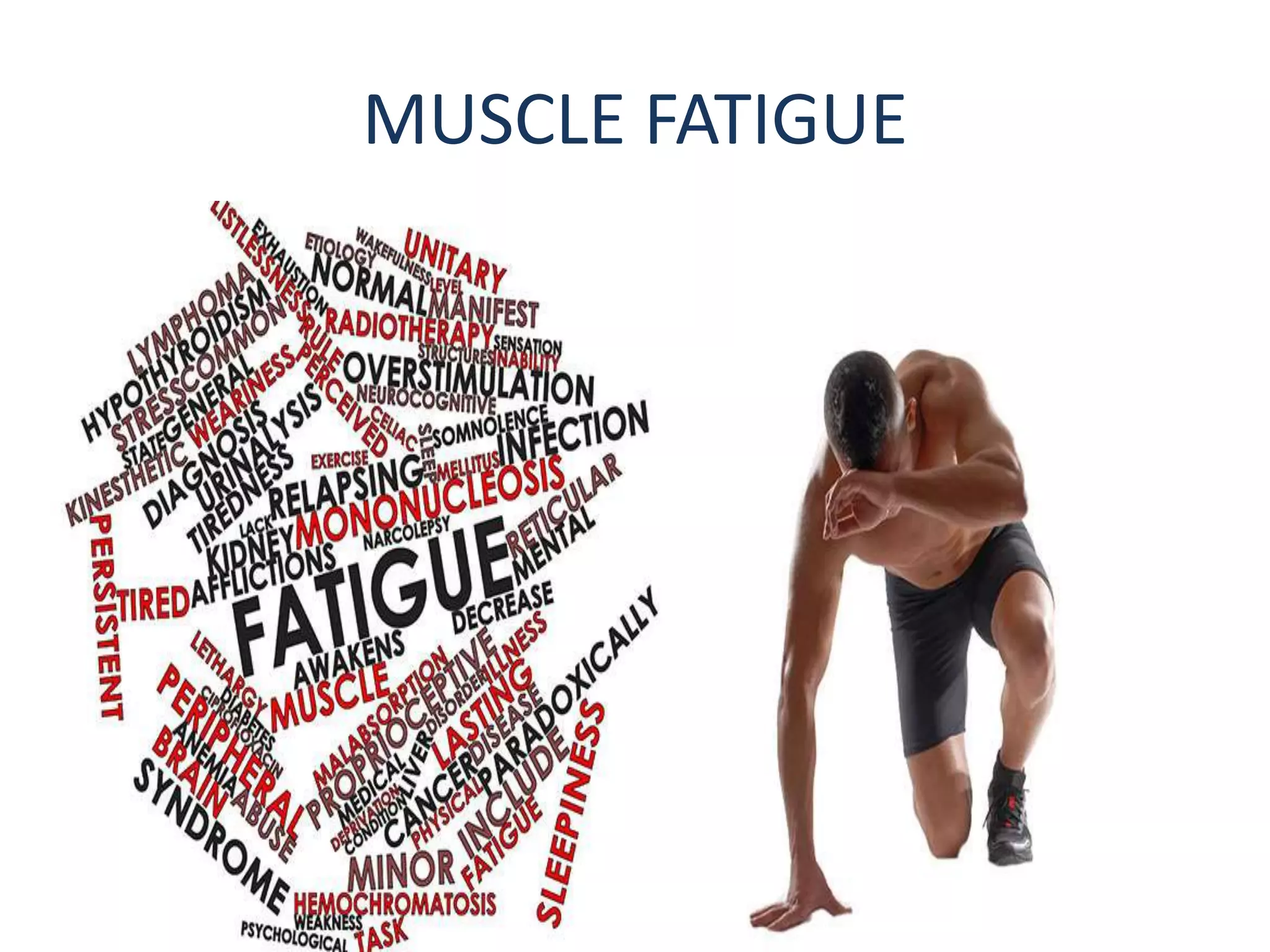 muscle contraction | PPTX