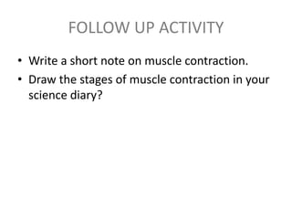 muscle contraction | PPTX