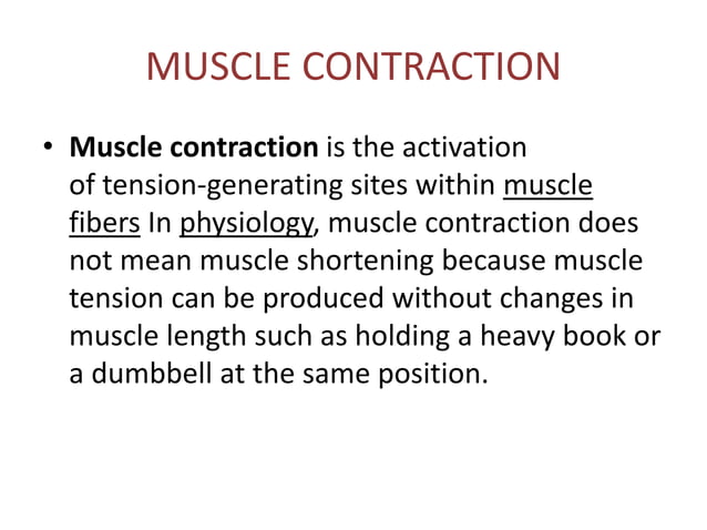 muscle contraction | PPT
