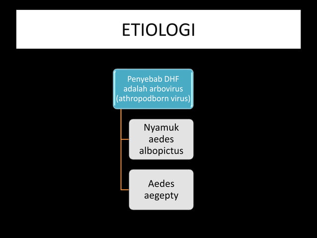 Presentation1 DHF.pptx
