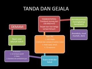 Presentation1 DHF.pptx