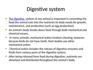 digestive system of Avians DVM lecture pdf | PPTX