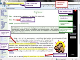 Presentation1 dog island | PPTX