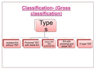 Presentation on esophageal atresia and tracheoesophageal fistula | PPTX