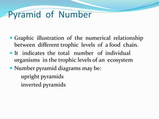 Presentation1 eco | PPTX | Biological Sciences | Science