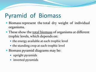 Presentation1 eco | PPTX | Biological Sciences | Science