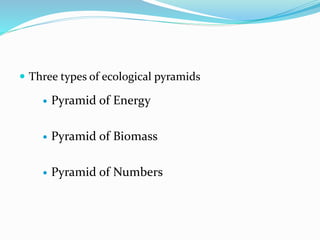 Presentation1 eco | PPTX | Biological Sciences | Science