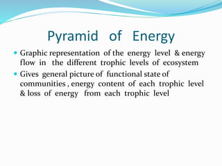 Presentation1 eco | PPTX
