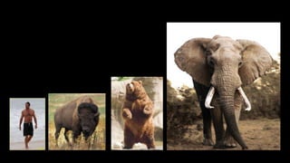 Comparing the size of the human being to the known Universe | PPTX