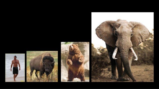 Comparing the size of the human being to the known Universe