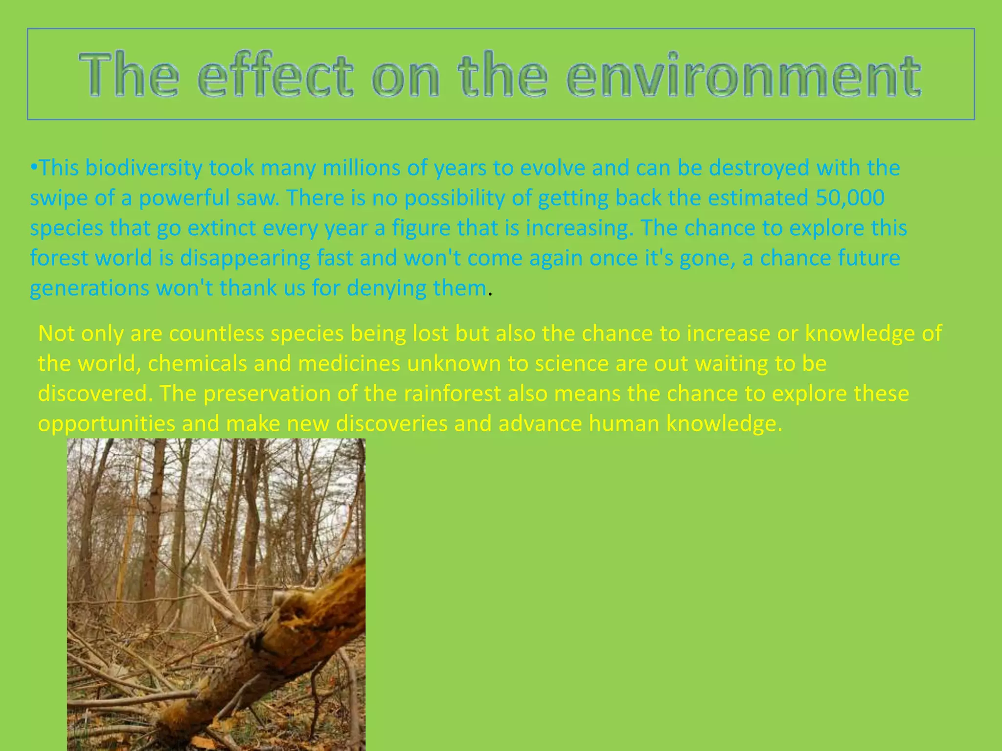 Presentation1 english deforestation | PPT