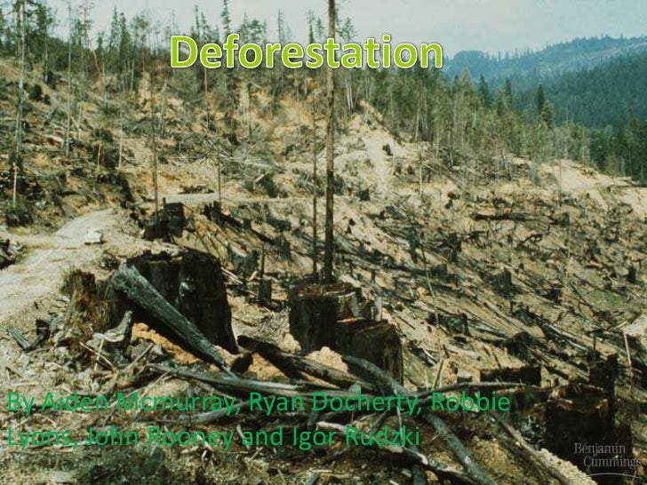 Presentation1 english deforestation